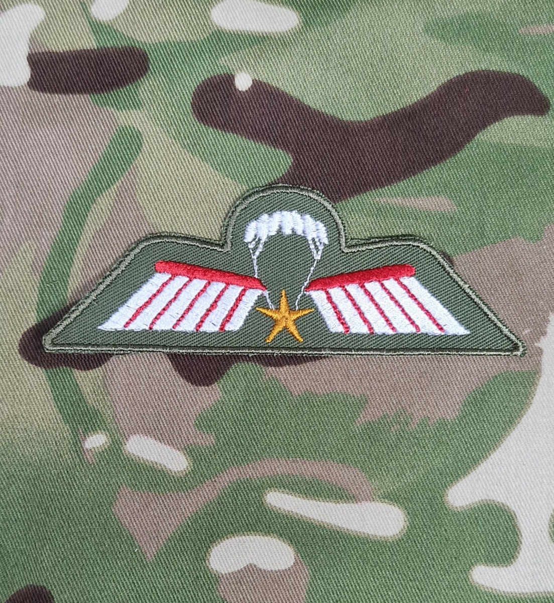 Netherlands / Dutch Airborne Parachutist Qualification Wings - Brevet ...